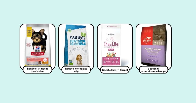 → 7 Bedste Hvalpefodere [november 2025] | Rytmen.dk