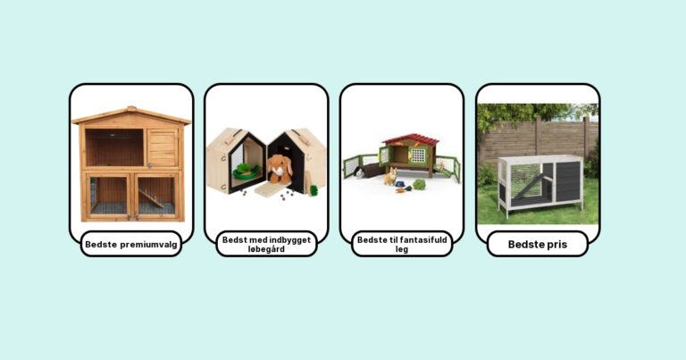 → 7 Bedste Kaninbure [januar 2026] | Rytmen.dk