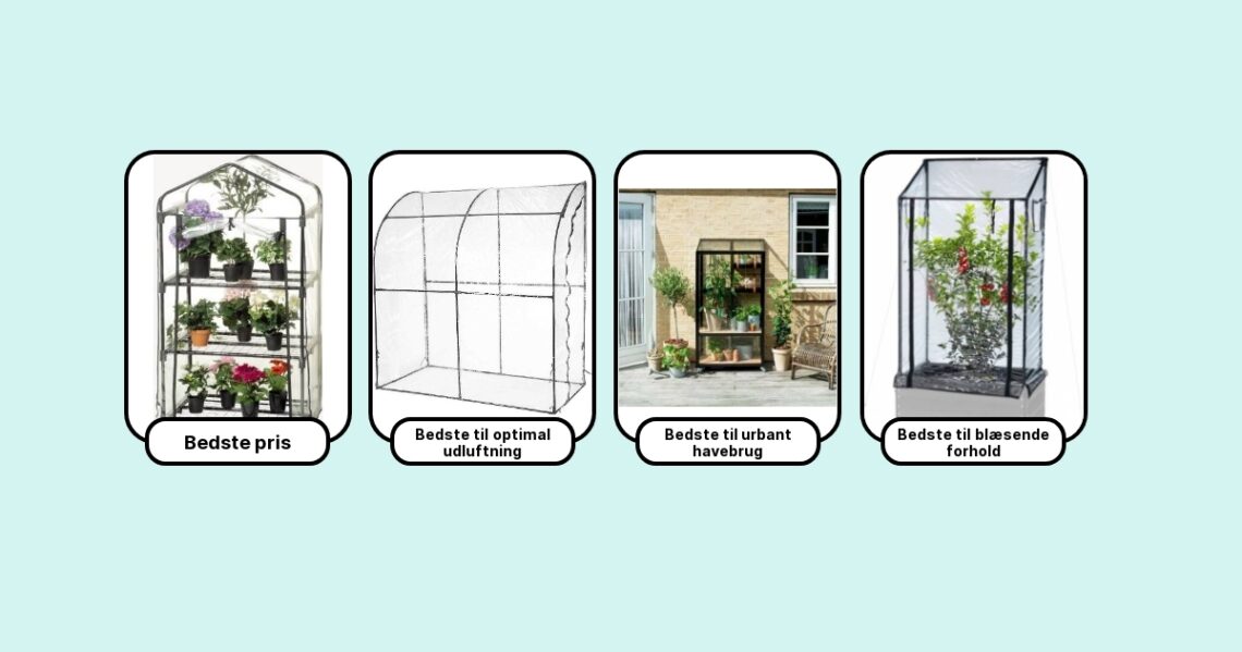 → 7 Bedste Mini-drivhuse [september 2025] | Rytmen.dk